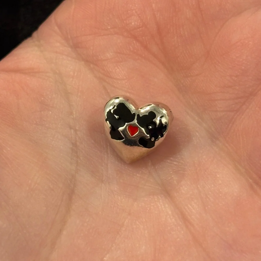 Pandora | Jewelry | Disney Pandora Mickey And Minnie Charm Believe In ...
